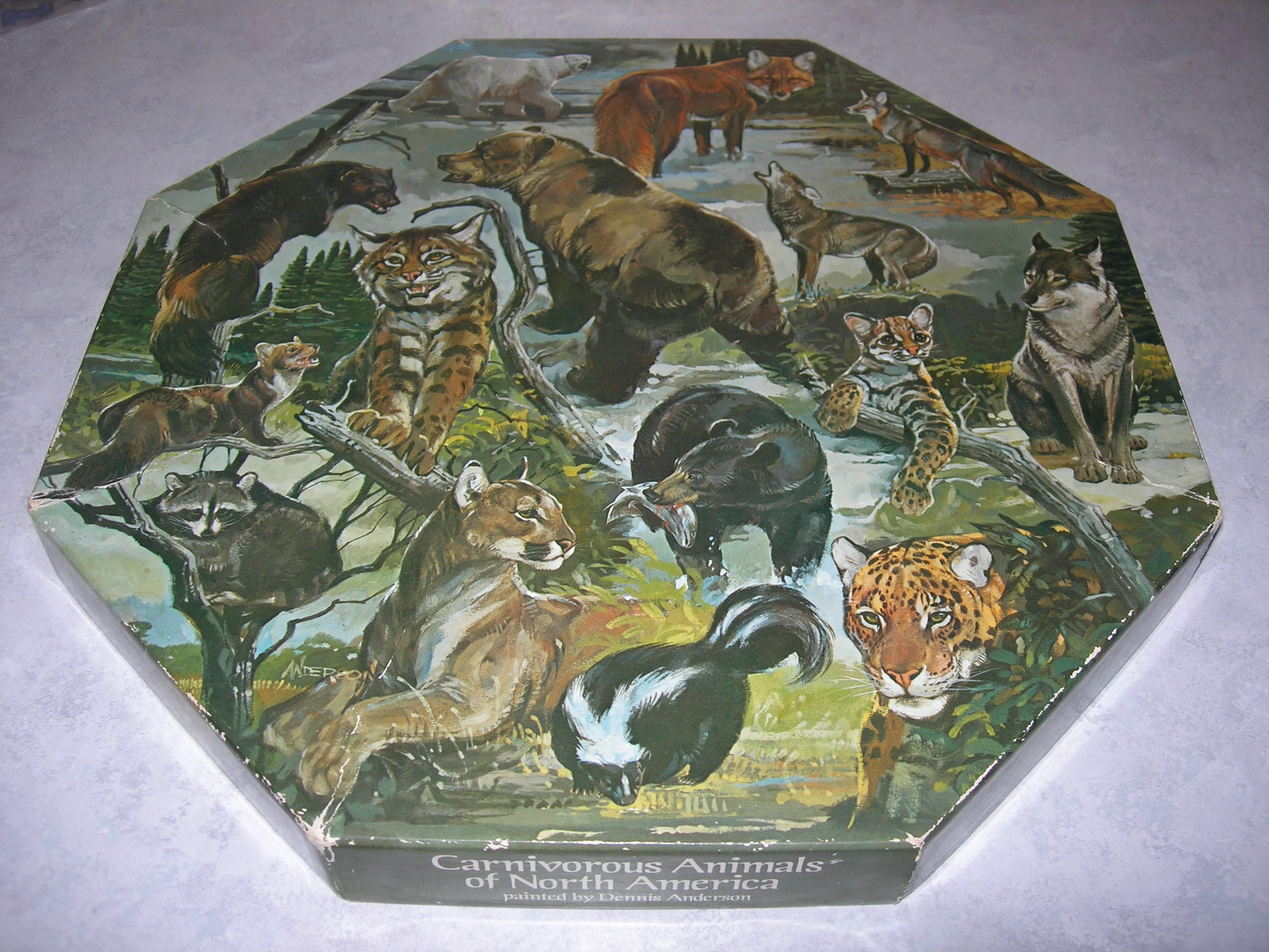 Jigsaw Puzzle Library